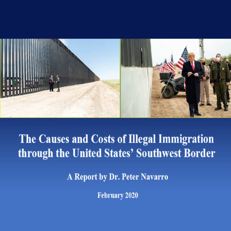 REPORT: The Causes and Costs of Illegal Immigration - Peter Navarro